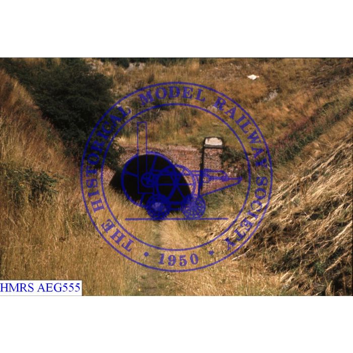 [AEG555] Shawcross tunnel S portal on former Chickenley branch from ...