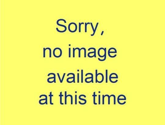 [ABN818] Cant A & Sons (Canning Town) 12T apex roof Salt van 33 [OP ...